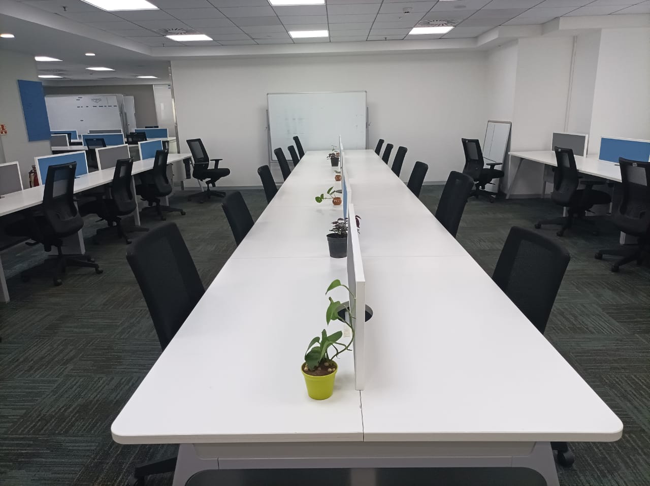 Coworking Space In OMR | Cove Offices