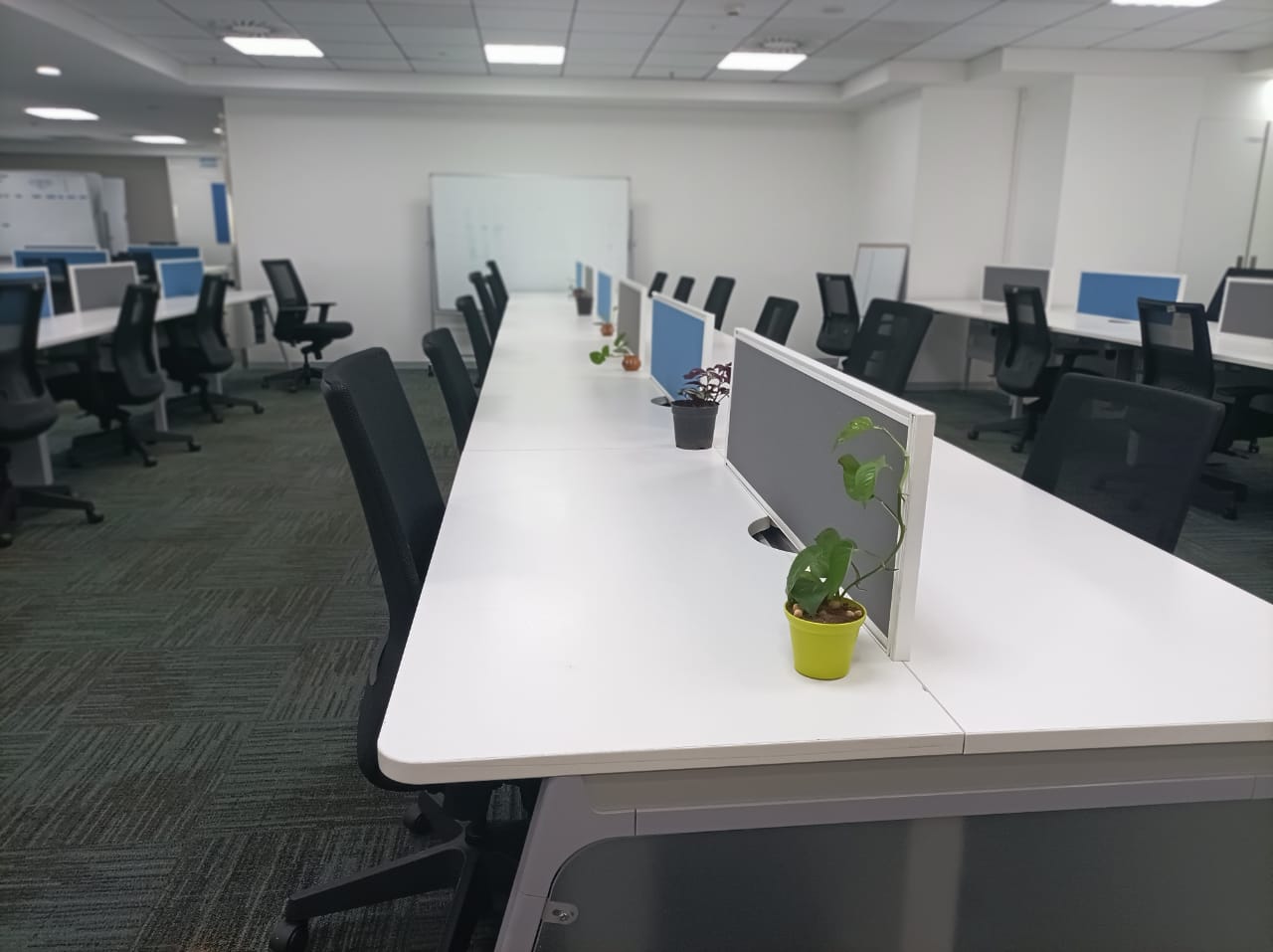 Coworking Space In OMR | Cove Offices